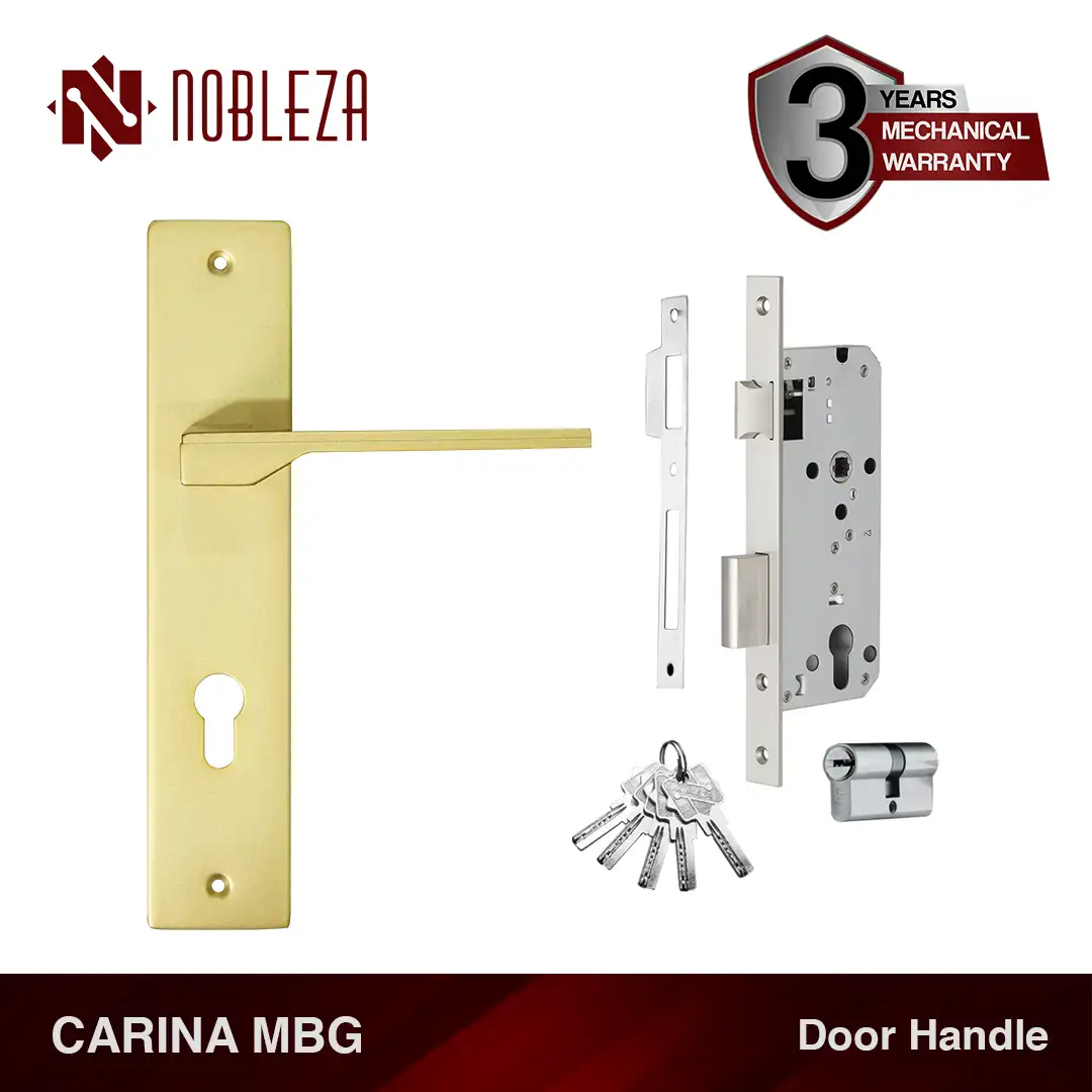 DOOR HANDLE SERIES - CARINA N802 MBG